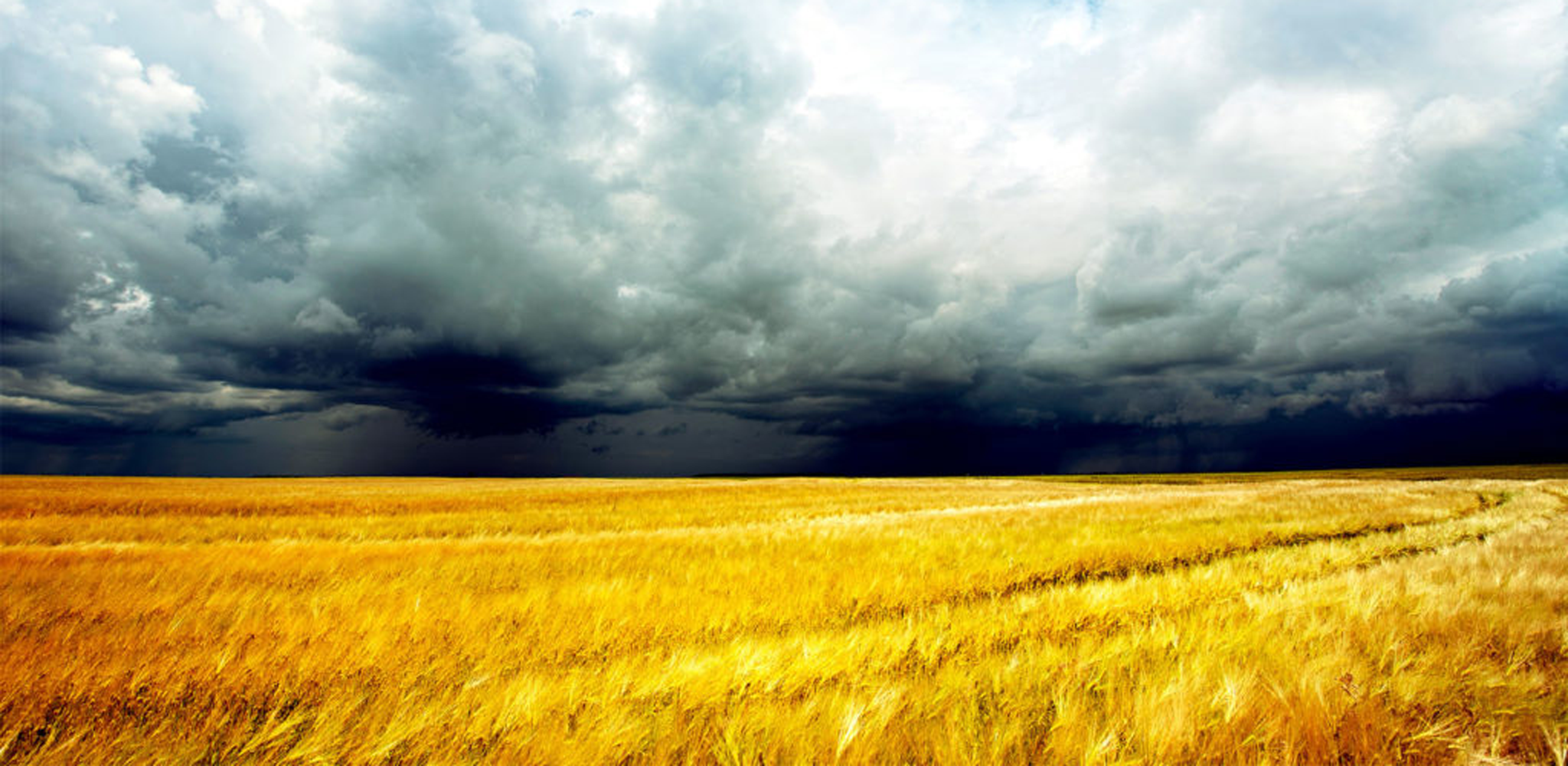 Stormy-Field-Cover | Indiana Farmers Union